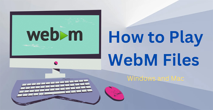 How to Play WebM Files on PC and Mac (No Third Party)