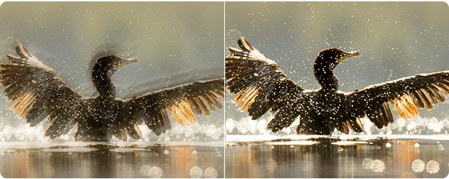 AI Video Stabilization in VideoProc Converter